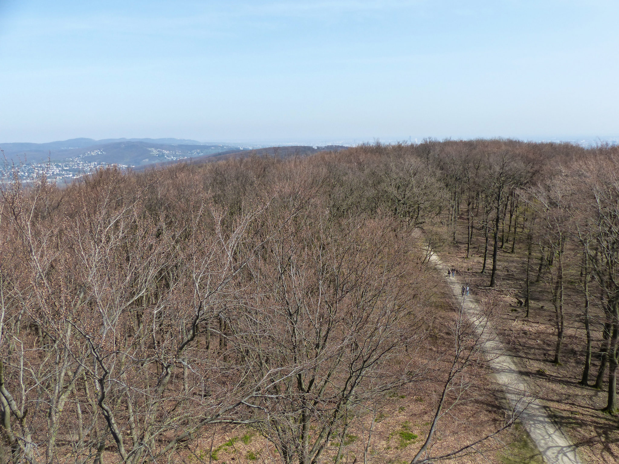 Wandern in Wien: Der Lainzer Tiergarten